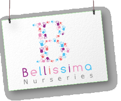 Welcome to Bellissima